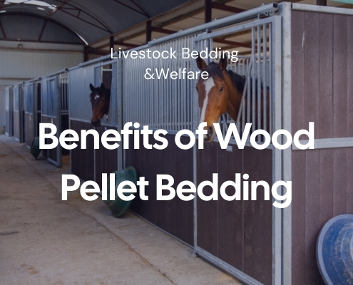 What are The Benefits of Wood Pellet Bedding? - Doherty Group